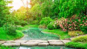 Types Of Landscaping Styles To Consider - Singapore Landscape Services